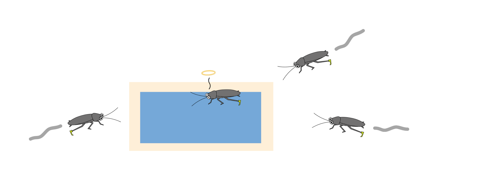 ゴキブリの雑学＆対策方法をご紹介！