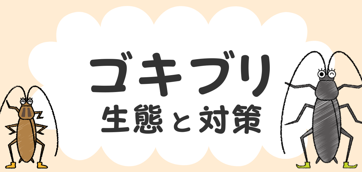 ゴキブリの雑学＆対策方法をご紹介！